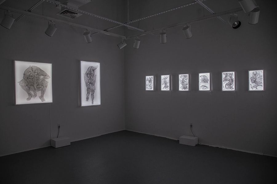 MFA 2020 Artists: Stephanie Sileo | College of Visual & Performing Arts ...