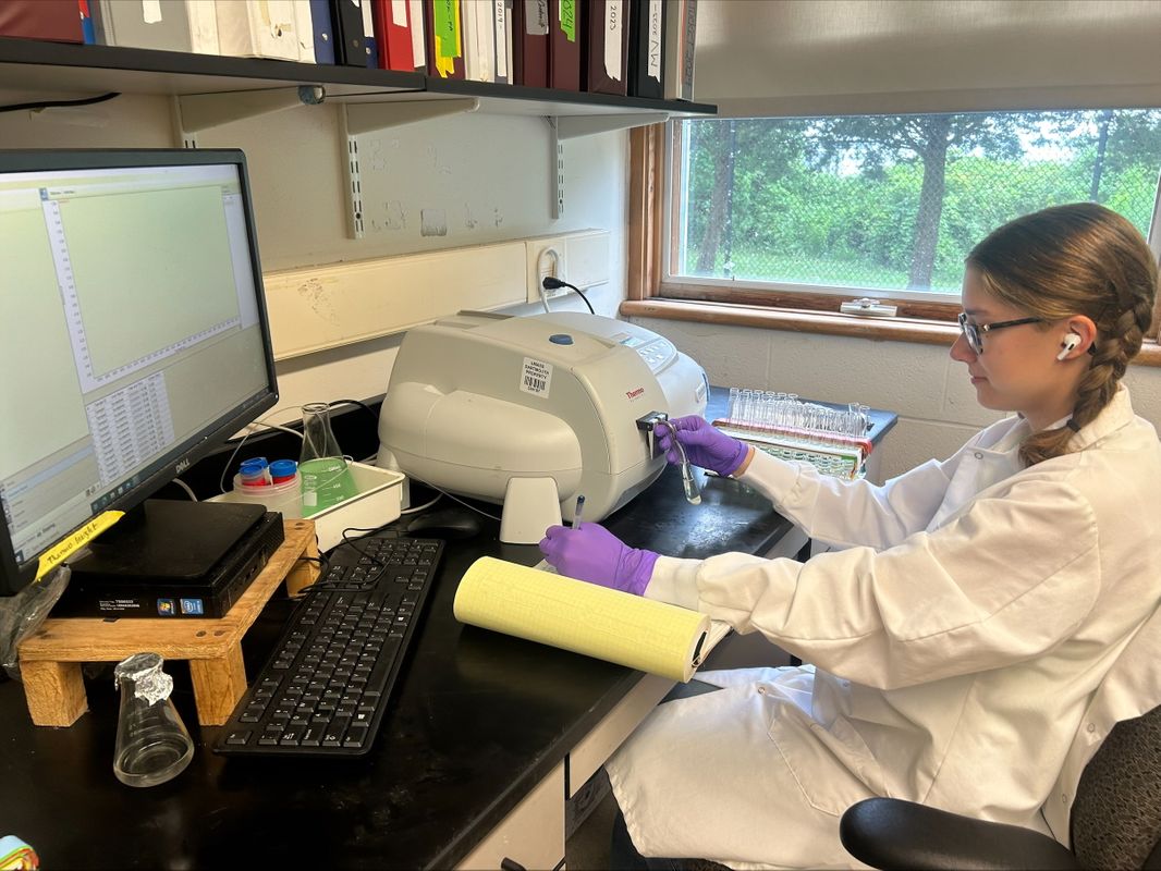 2025: Mia Oliveira '26: Networking the coast | UMass Dartmouth Features