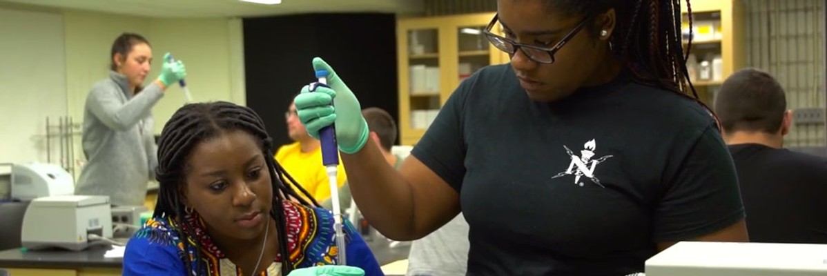 Bioengineering Program | UMass Dartmouth