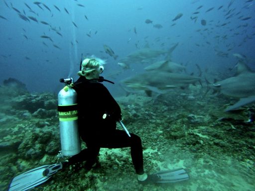 2025: Lindsay Graff PhD '27: Shark conservation research | UMass ...
