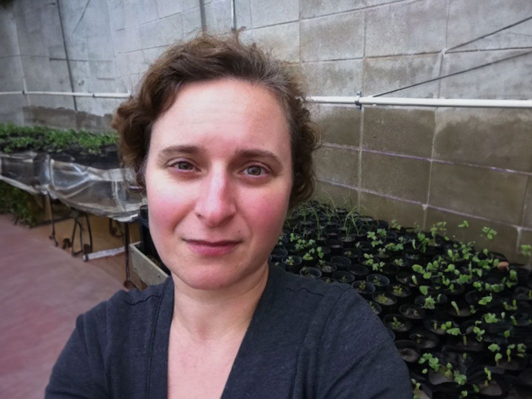 Diana Barrett, PhD | UMass Dartmouth