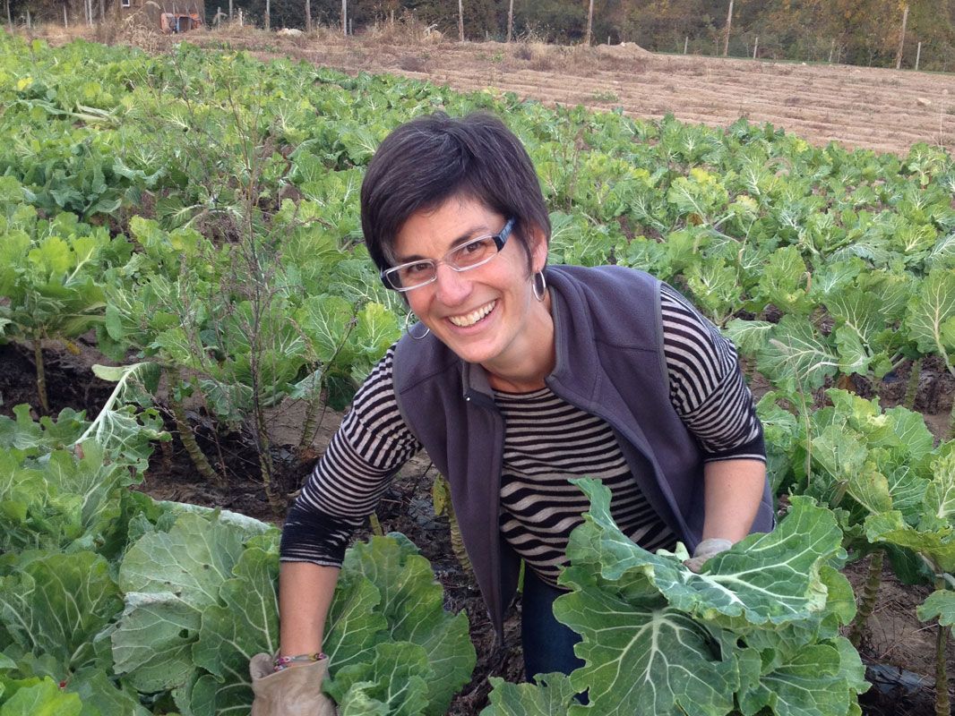 Rachel Kulick, PhD | UMass Dartmouth